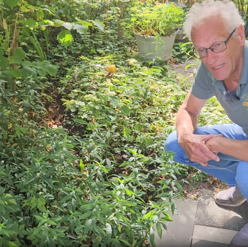 Natuurlijk Almere | Bij Eibert Draisma in de tuin | Video · Omroep Almere