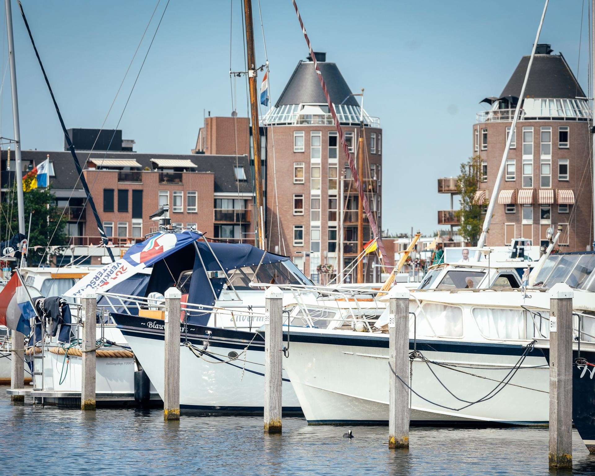 Havenaren denken mee over vernieuwing eigen omgeving · Omroep Almere